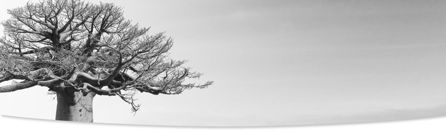 Peresec – World Class Trading, Prime Broking and Custody Solutions