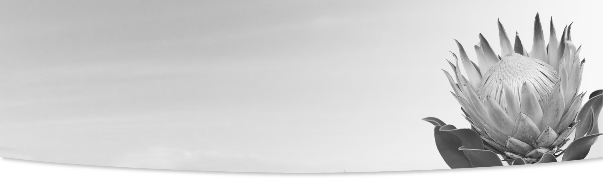 Peresec – World Class Trading, Prime Broking and Custody Solutions